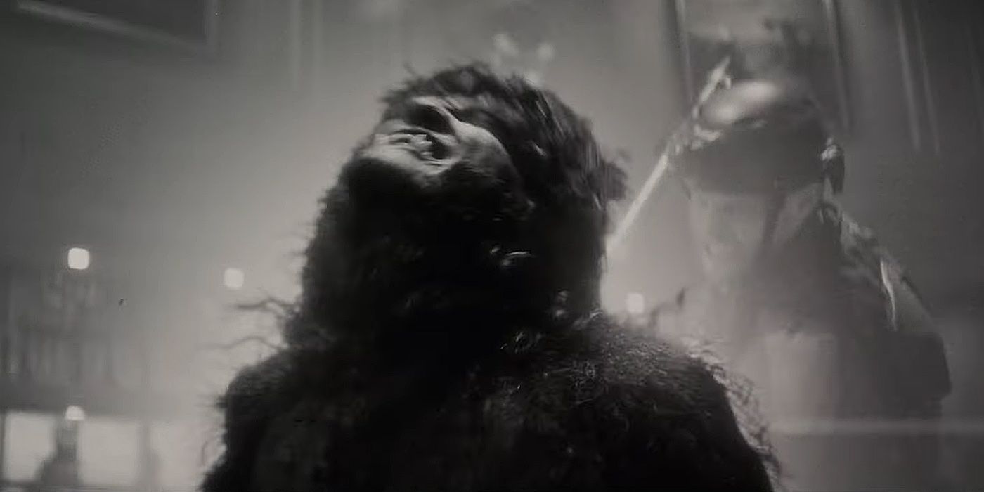 ‘WEREWOLF BY NIGHT’ has FINALLY been officially announced by Marvel ...